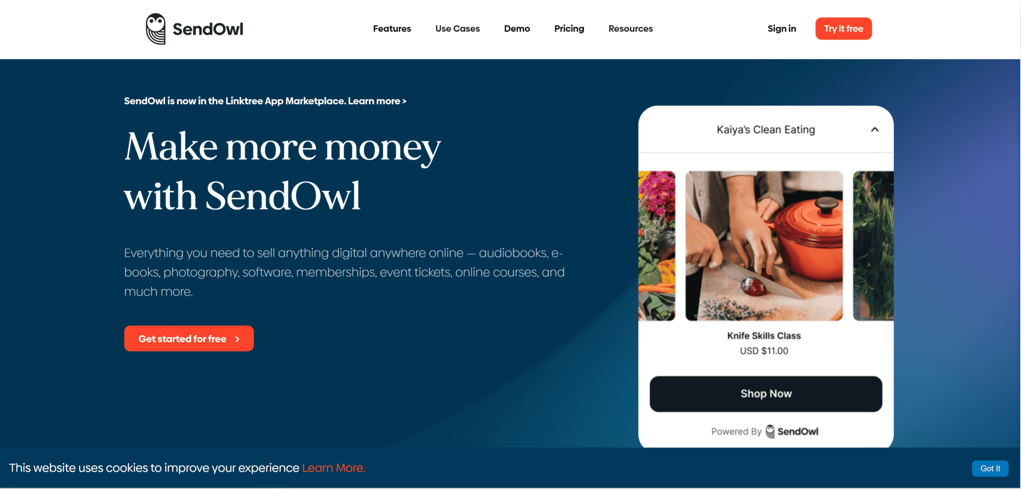 Enhancing Your Showit Website with E-Commerce: A Guide to Integrating Shopify, SendOwl, and ...